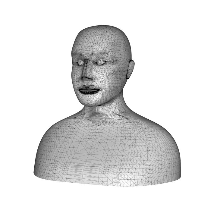 3D Printable Human 3d model by 3dSolidWorks