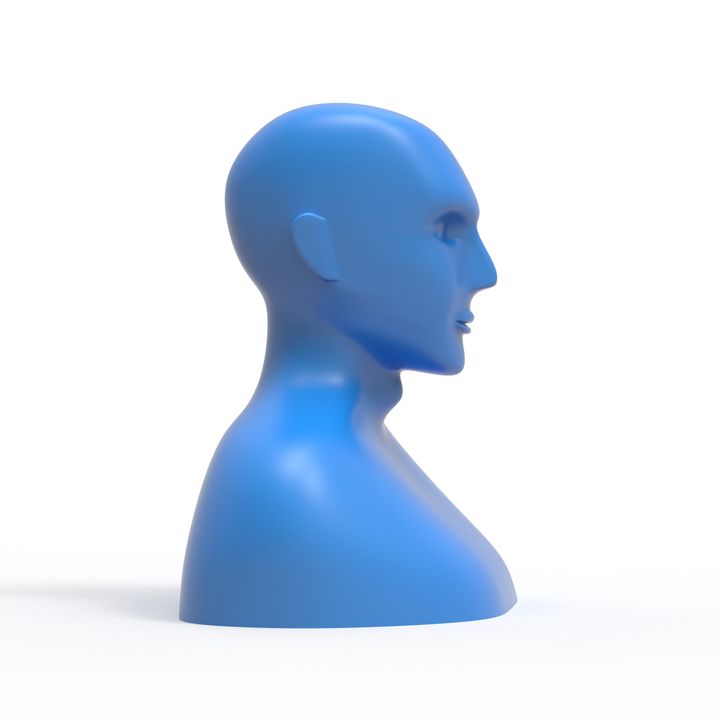 3D Printable Human 3d model by 3dSolidWorks