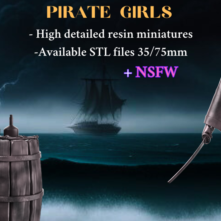 3D Printable Pirate Girls: Complete Set [Personal] by Fierce Females ...
