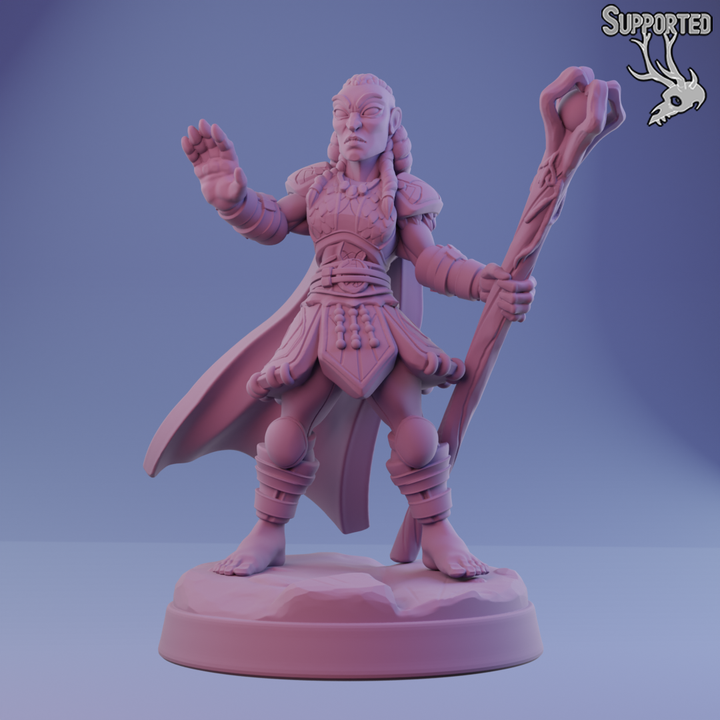 3D Printable The Blue Fire Wardens by Zio