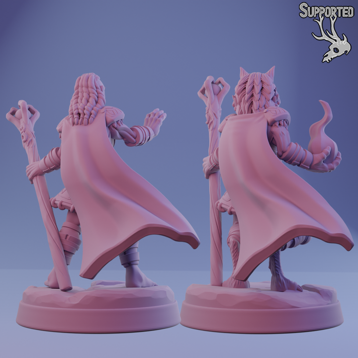 3D Printable Argentira Skywright by Zio