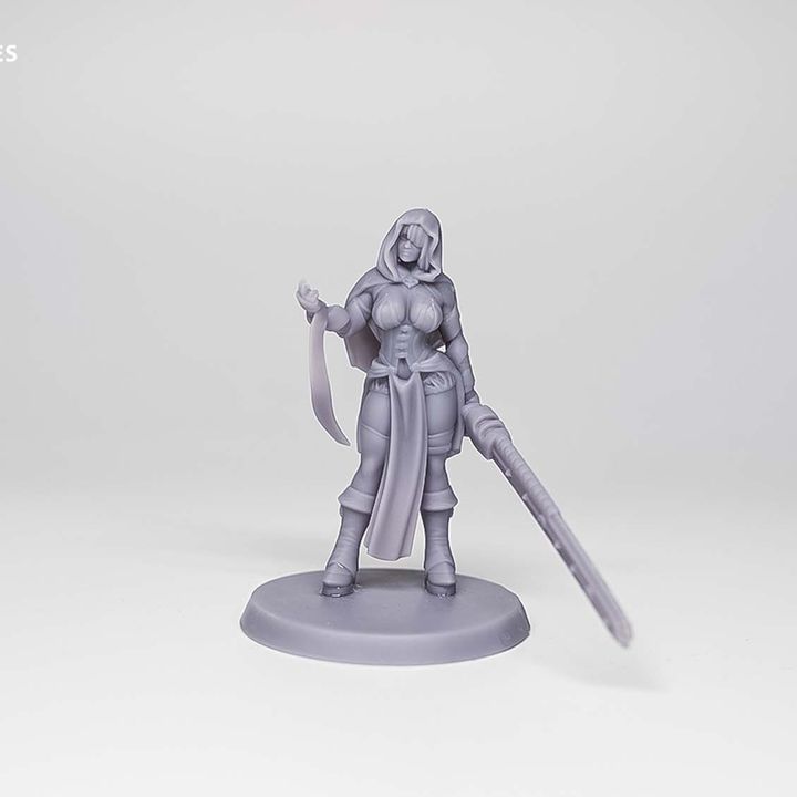 3D Printable Divine Order Deathmaiden - Pose 5 + Pinups by PSMiniatures