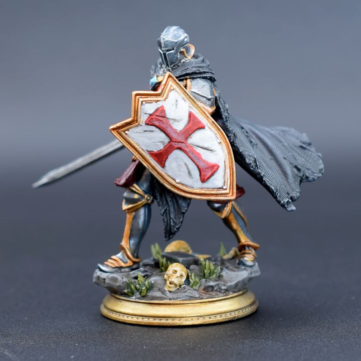 3D Print of Cursed Paladin of Vengeance - Leopold the Undying by Spitz73