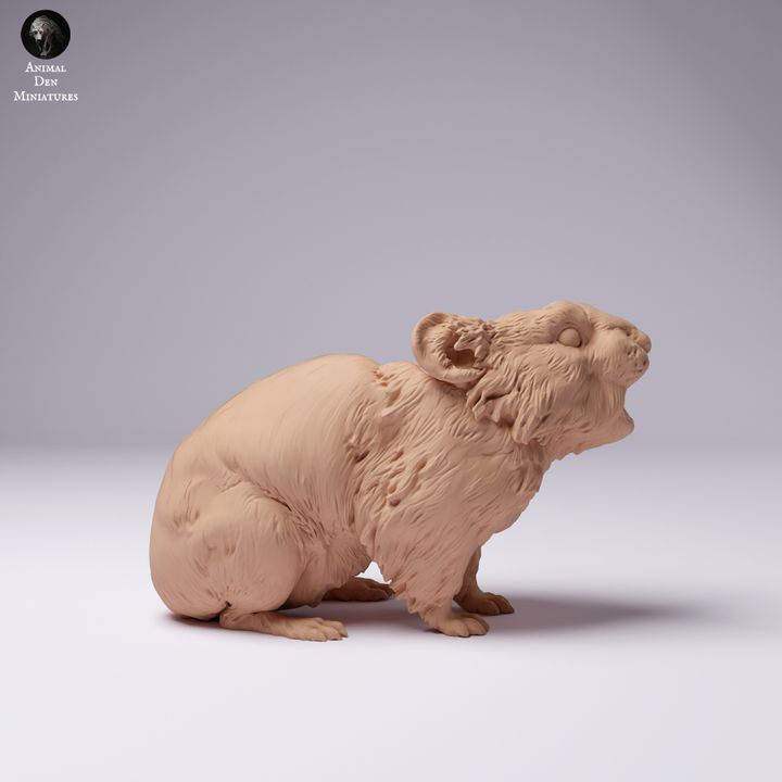 3D Printable American Pika by Animal Den Miniatures