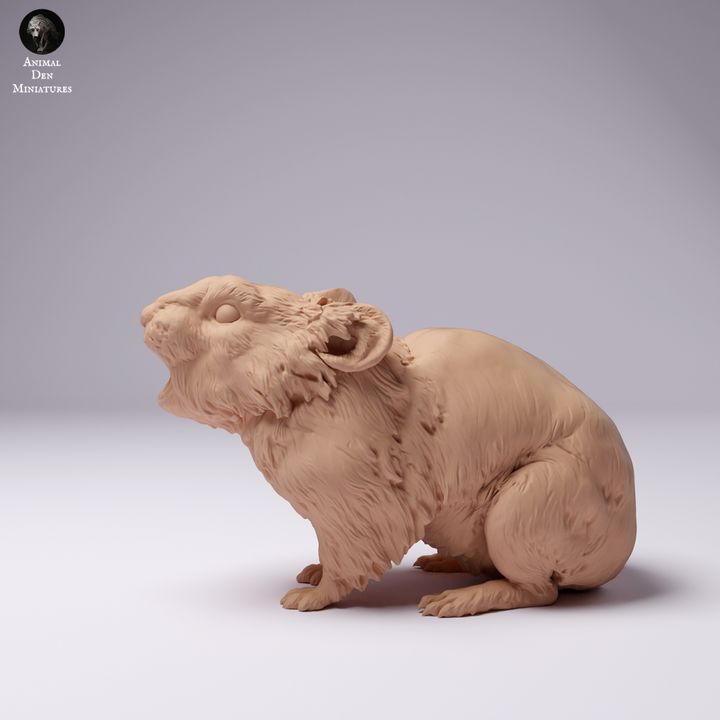 3D Printable American Pika by Animal Den Miniatures