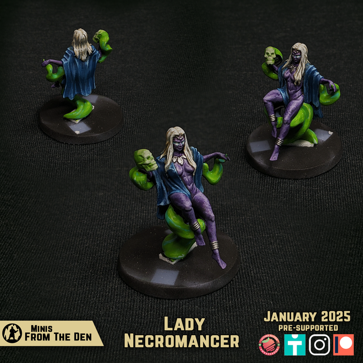 3D Print of Lady Necromancer by MinisFromTheDen