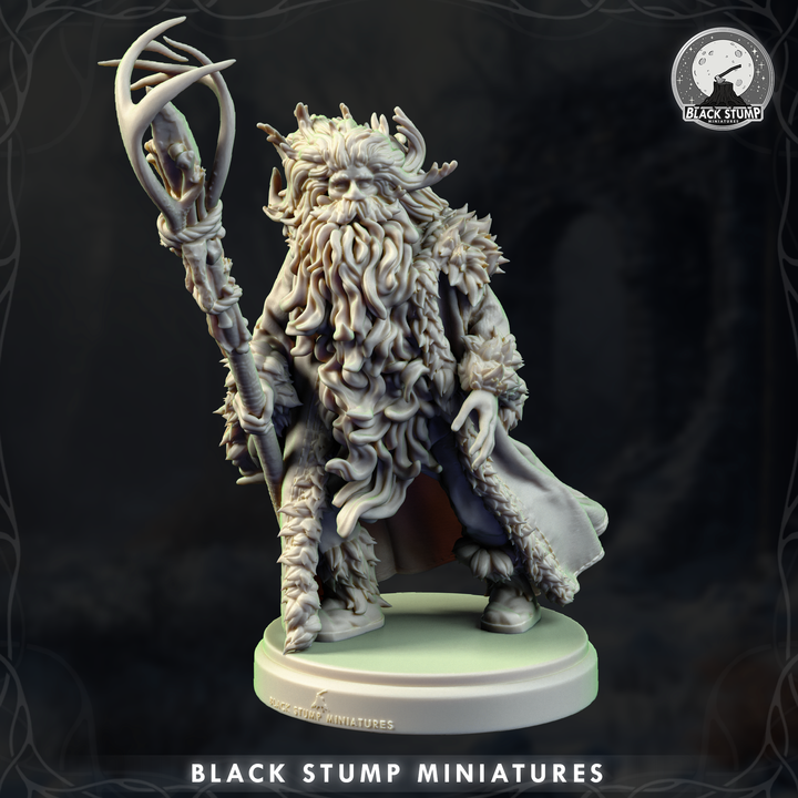 3D Printable Winter Lord + 5E Stats + Shadowdark Stats .PDF! by Arcane ...