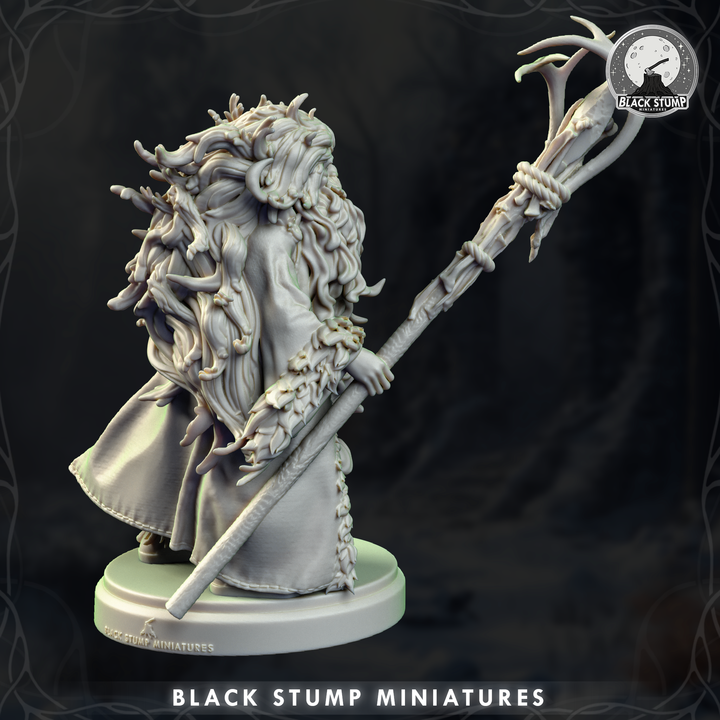 3D Printable Winter Lord + 5E Stats + Shadowdark Stats .PDF! by Arcane ...