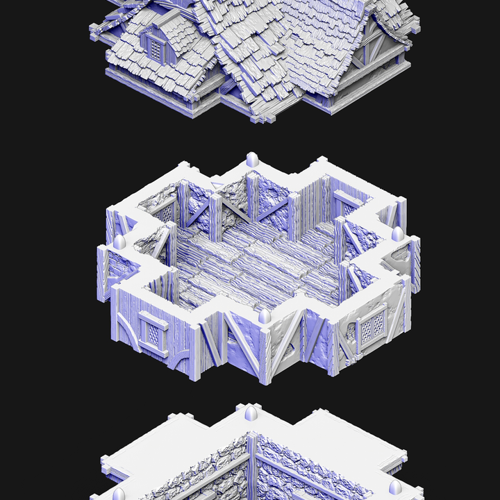 3D Printable The Cursed Infirmary by Pioneers Of Fantasy