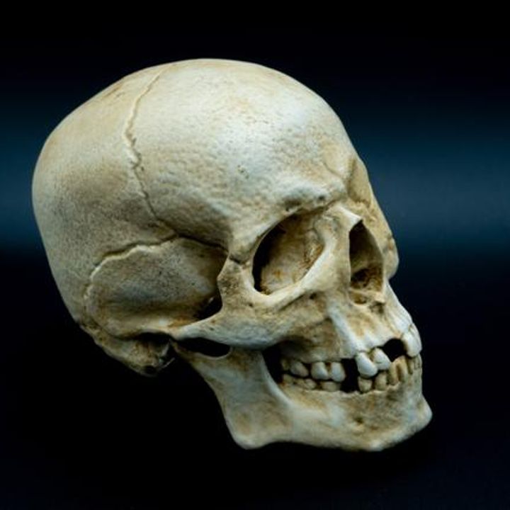 3D Printable One-Eyed Willy Skull from Goonies by Lantern Lore