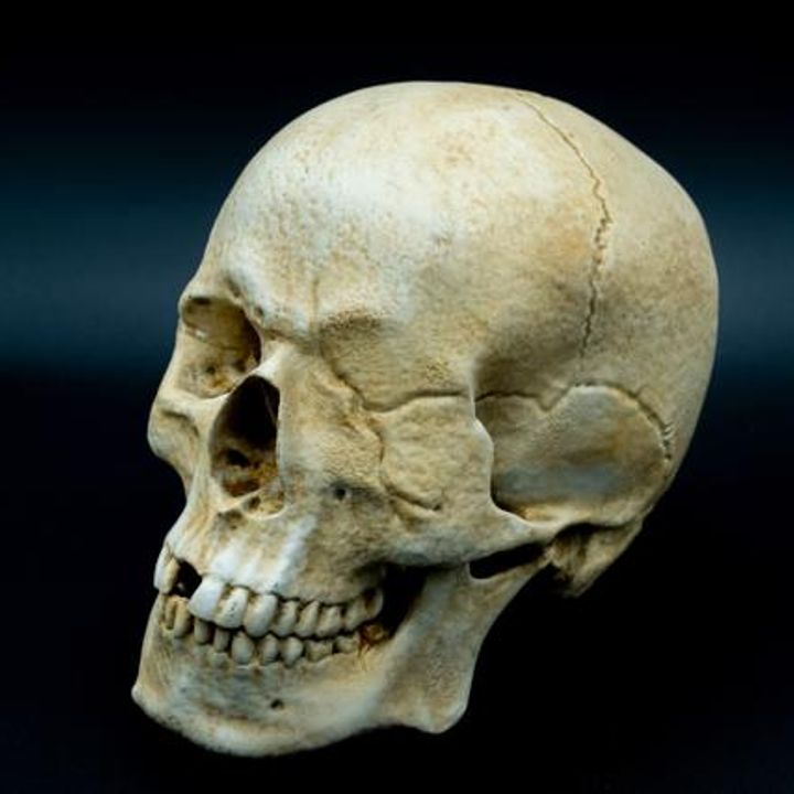 3D Printable One-Eyed Willy Skull from Goonies by Lantern Lore