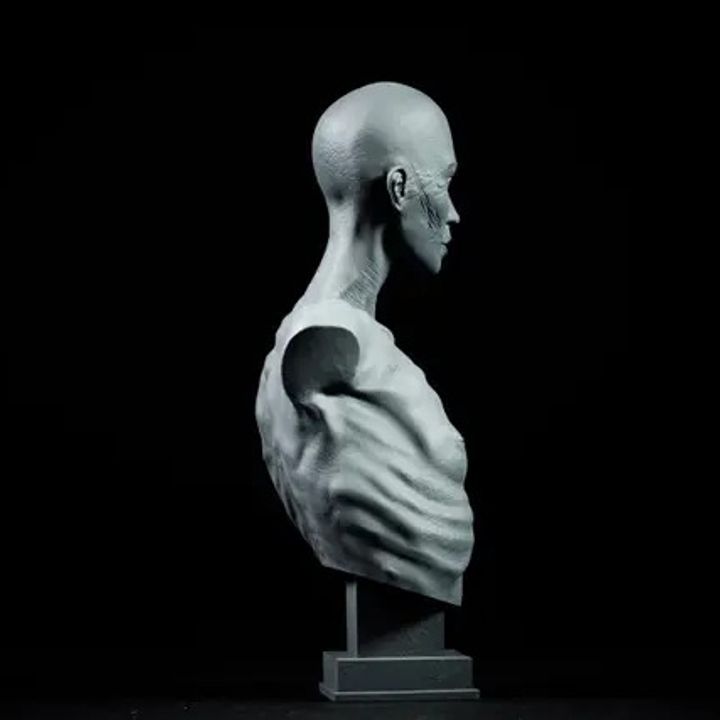 3D Printable Broken Will by Lantern Lore