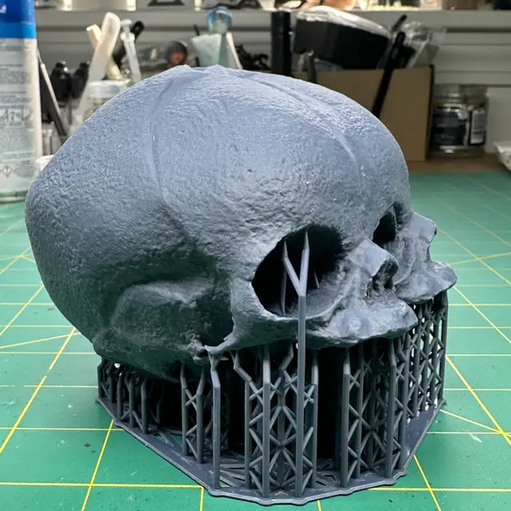 3D Printable Conjoined Fetal Skull by Lantern Lore