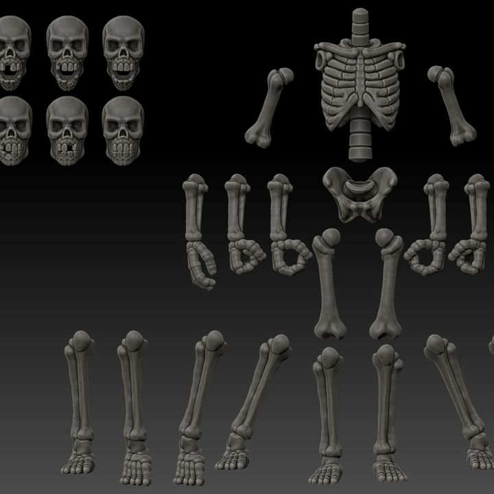 3D Printable Skeleton Bone Set by Rafail Patreon