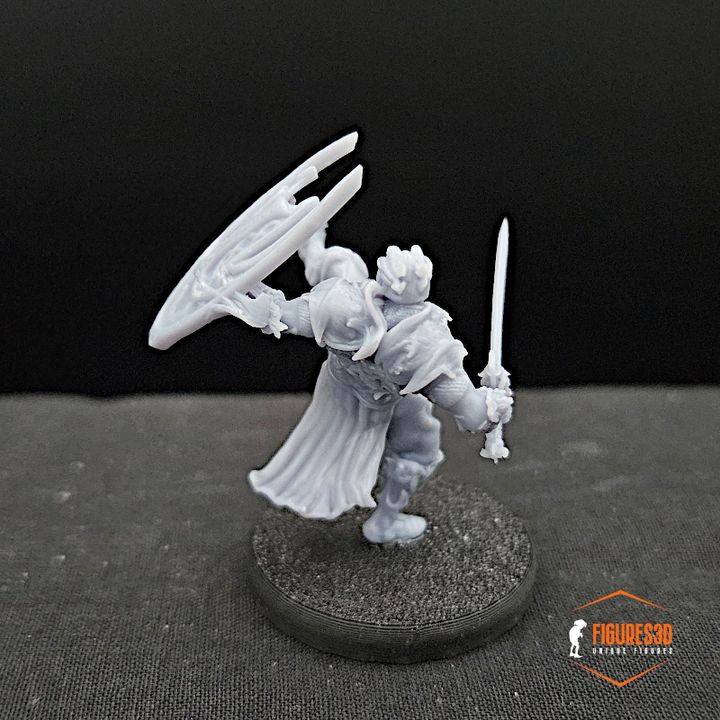 3D Printable dragon slayer knight - pose 2 by Figures3d