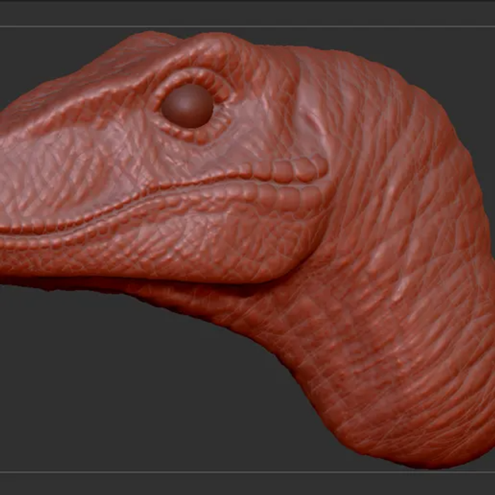 3D Printable Raptor Head by XdraxX _gamer
