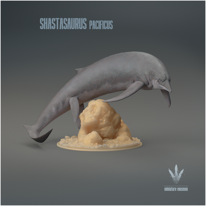 3D Printable Shastasaurus pacificus : Swimming by Miniature Museum