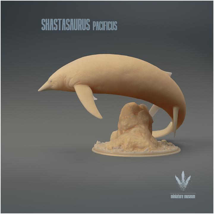 3D Printable Shastasaurus pacificus : Swimming by Miniature Museum