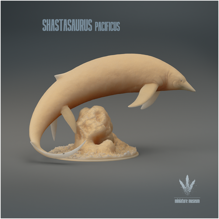 3D Printable Shastasaurus pacificus : Swimming by Miniature Museum