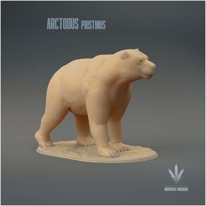 3D Printable Arctodus pristinus : The Short-faced Bear by Miniature Museum