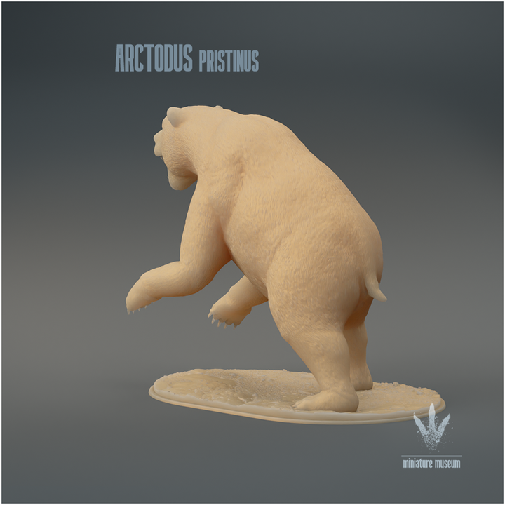 3D Printable Arctodus pristinus : Standing by Miniature Museum