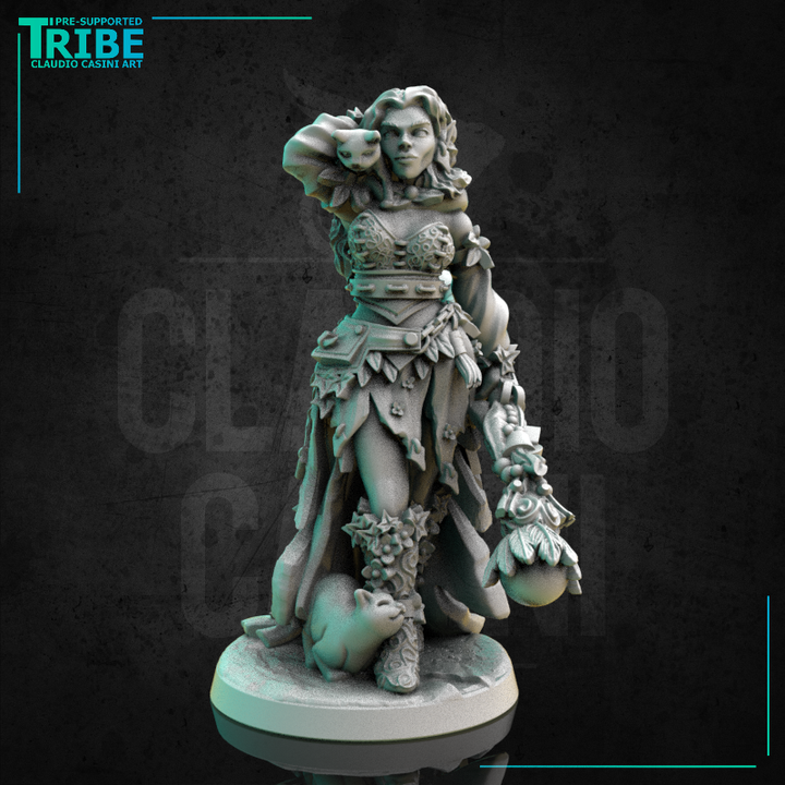 3D Printable (0261) Female druid wizard witch with magic staff and cats ...