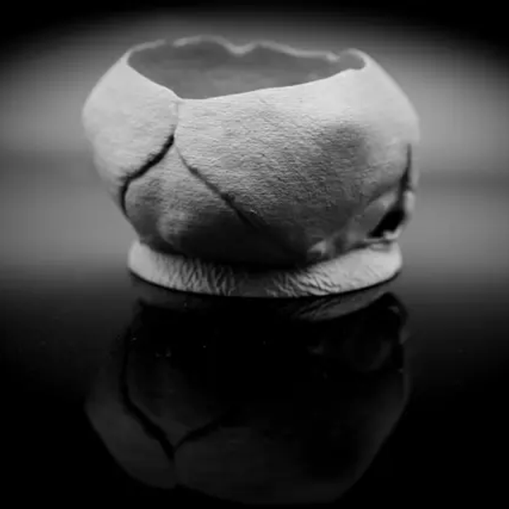 3D Printable Conjoined Fetal Skull Pot by Lantern Lore
