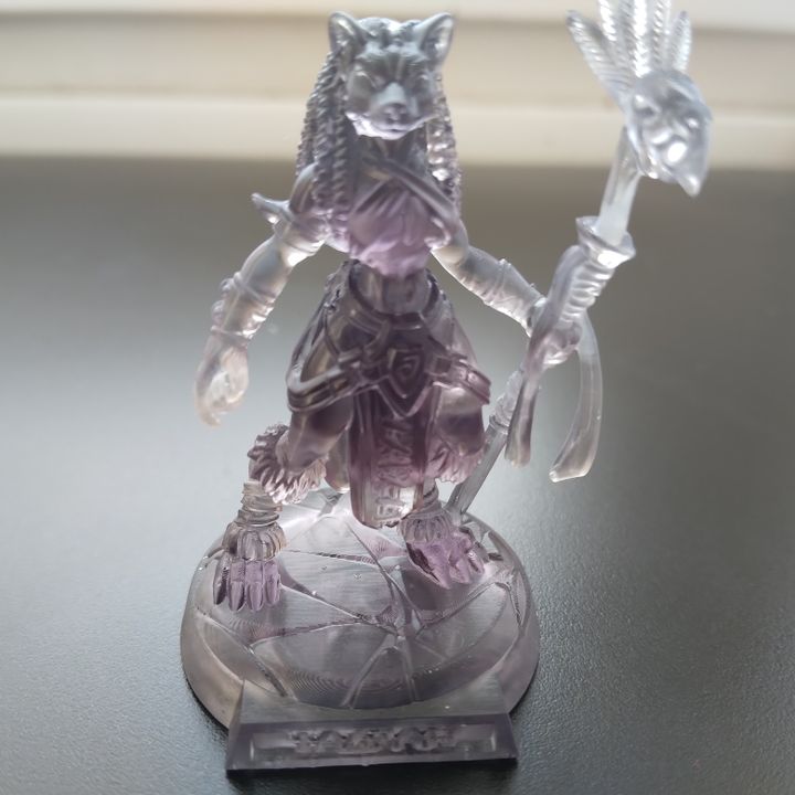 3D Print of Gnoll Druid - Tazrah the Gnoll ( Gnoll female or wolf girl ...
