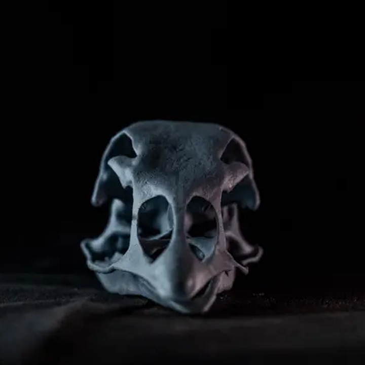 3D Printable Turkey Skull by Lantern Lore