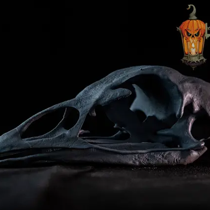 3D Printable Turkey Skull by Lantern Lore