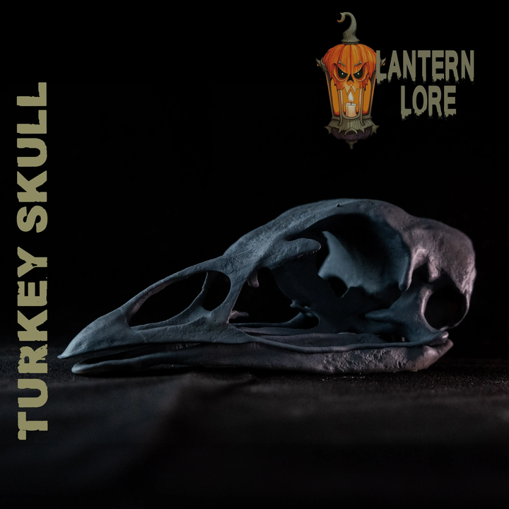 3D Printable Turkey Skull by Lantern Lore