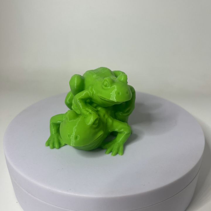 3D Printable Frog x2 by anthony