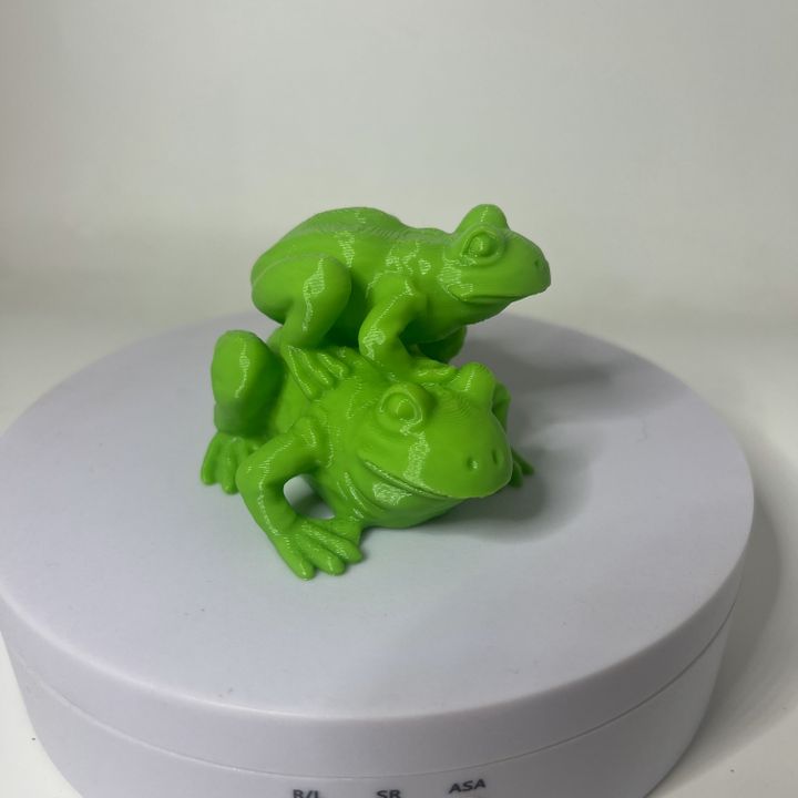 3D Printable Frog x2 by anthony