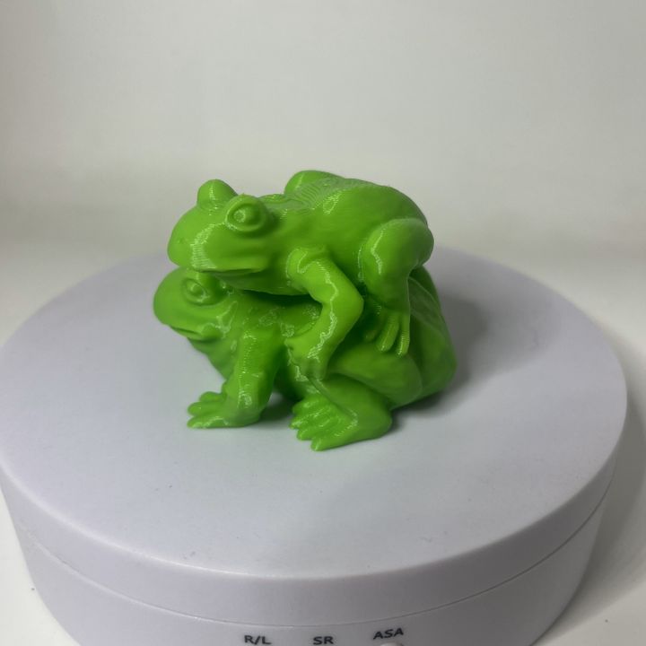 3D Printable Frog x2 by anthony