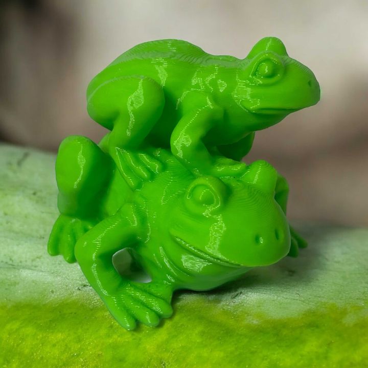3D Printable Frog x2 by anthony