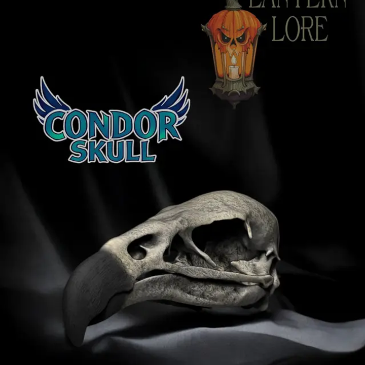 3D Printable California Condor Skull by Lantern Lore