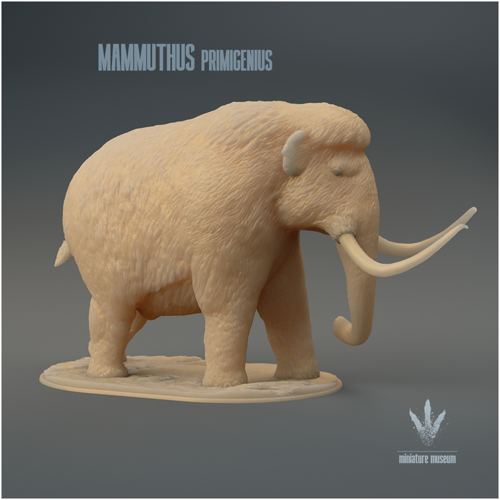 3D Printable Mammuthus primigenius : The Woolly Mammoth by Miniature Museum