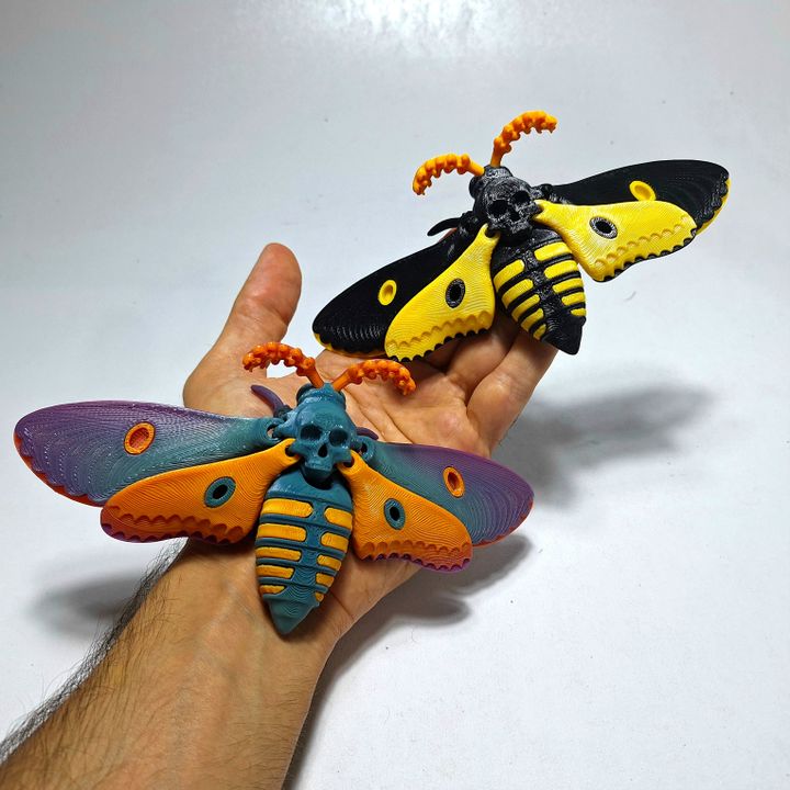 3D Printable Dead head moth! ((v2)) (stl files) by Hansan.A