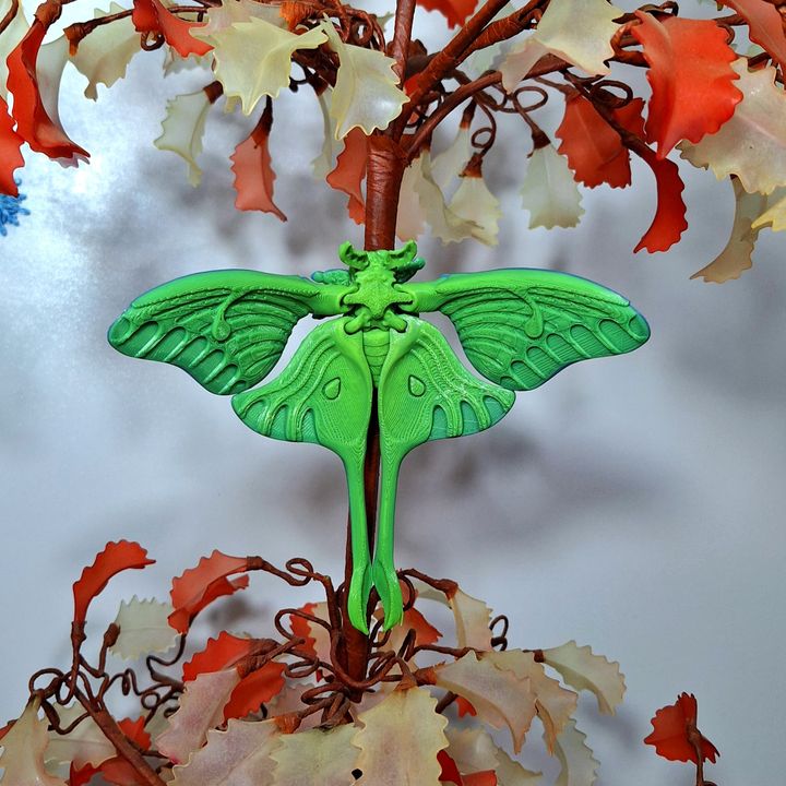 3D Printable Realistic Luna moth! (stl files) by Hansan.A