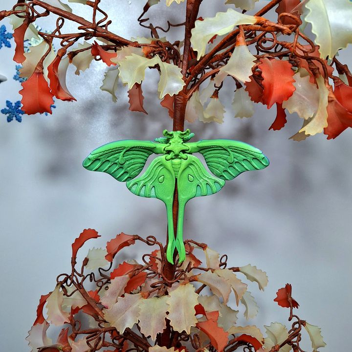 3D Printable Realistic Luna moth! (stl files) by Hansan.A
