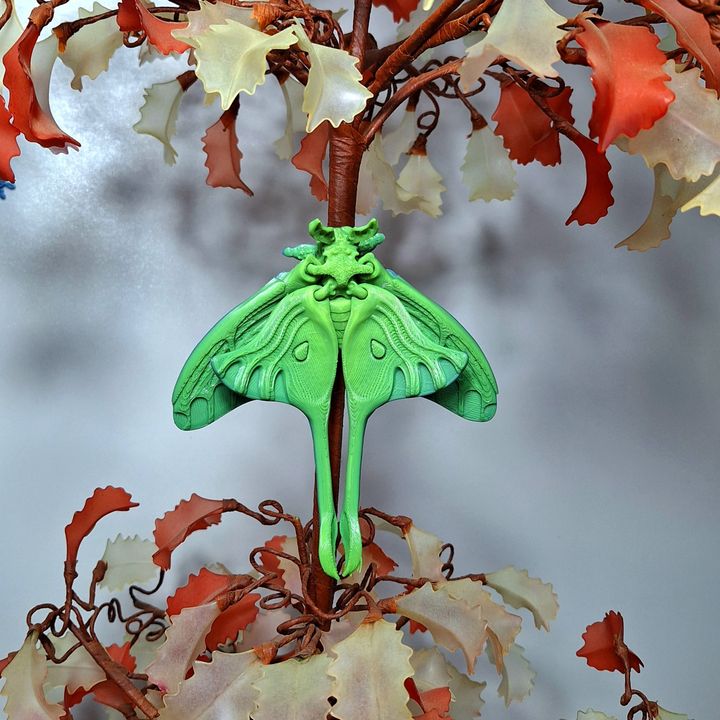 3D Printable Realistic Luna moth! (stl files) by Hansan.A