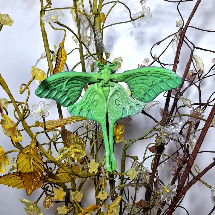 3D Printable Realistic Luna moth! (stl files) by Hansan.A