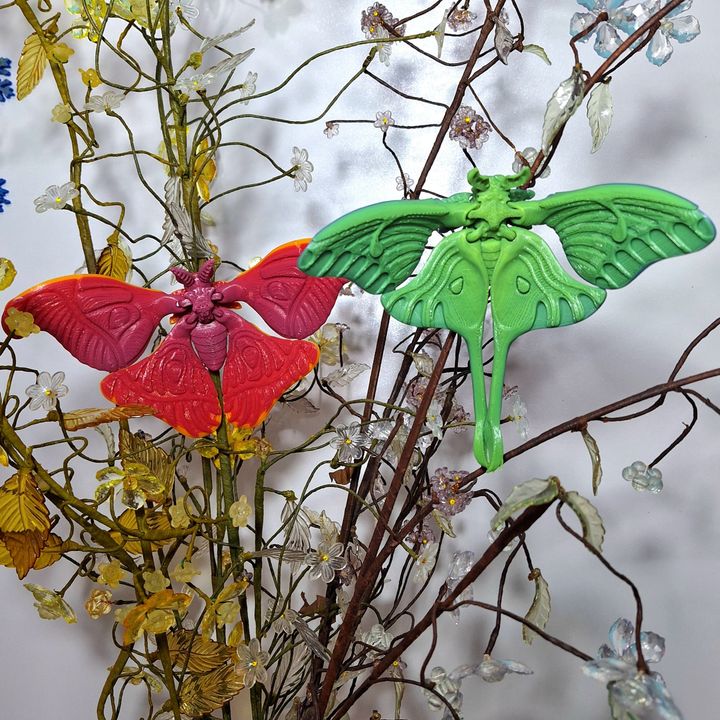3D Printable Realistic Luna moth! (stl files) by Hansan.A
