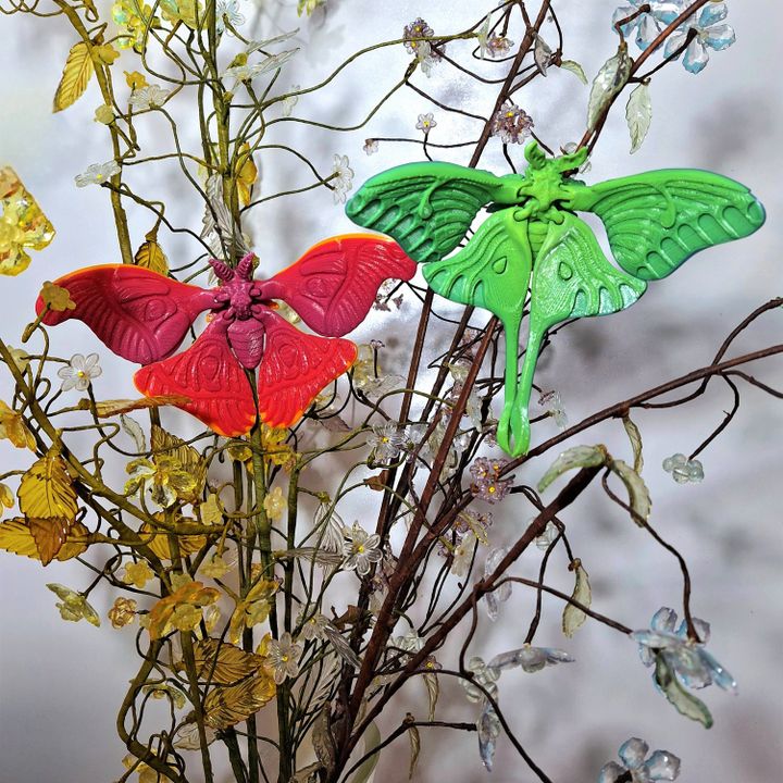 3D Printable Realistic Luna moth! (stl files) by Hansan.A