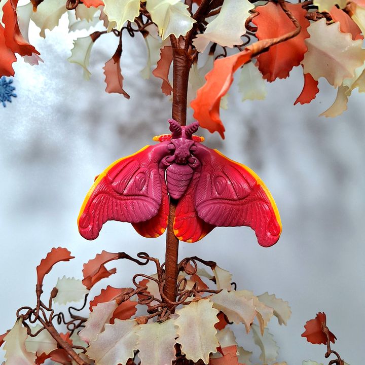 3D Printable Realistic Atlas moth! (single stl file) by Hansan.A