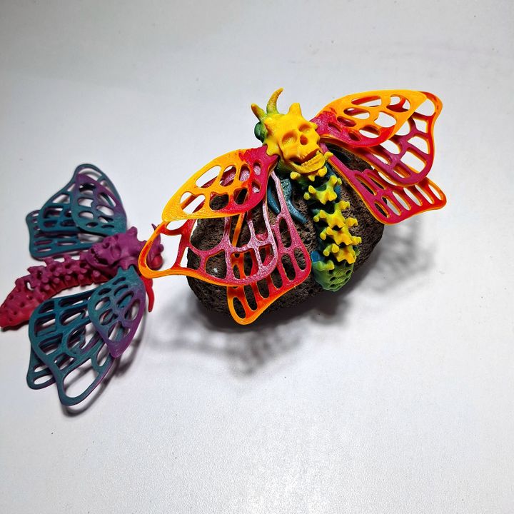 3D Printable The Demon Moth! (Skullwing moth) by Hansan.A