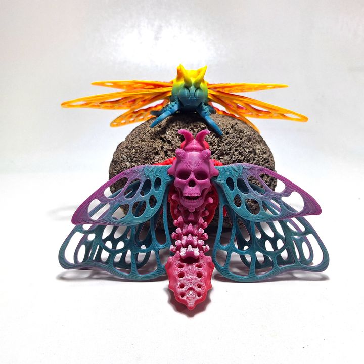 3D Printable The Demon Moth! (Skullwing moth) by Hansan.A