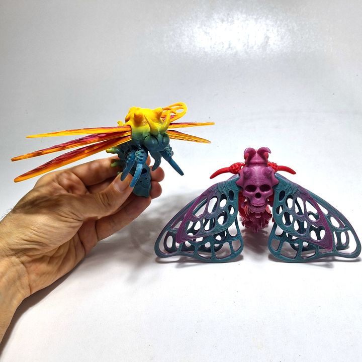 3D Printable The Demon Moth! (Skullwing moth) by Hansan.A