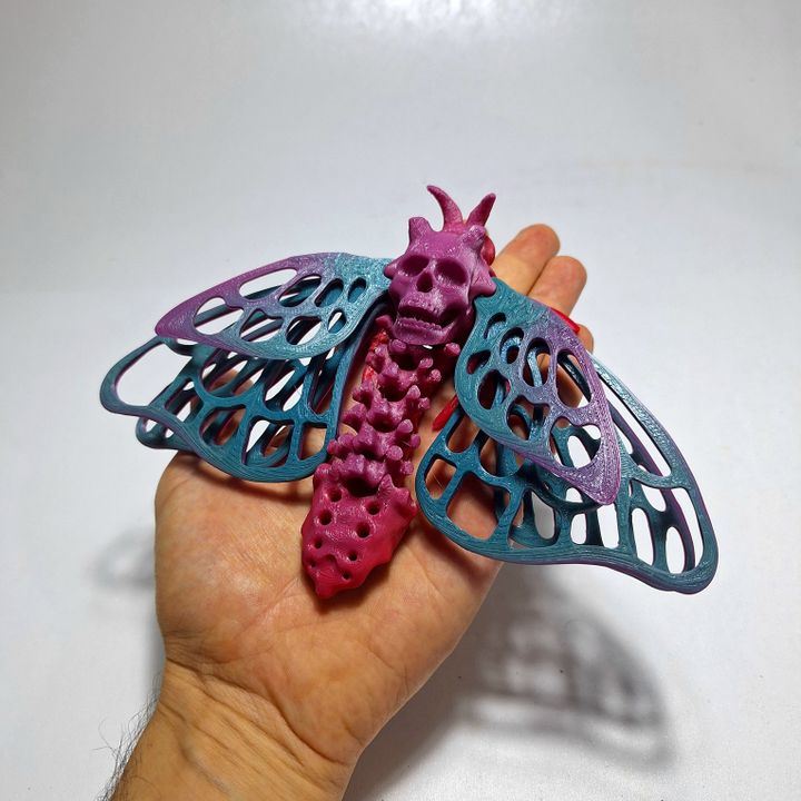 3D Printable The Demon Moth! (Skullwing moth) by Hansan.A