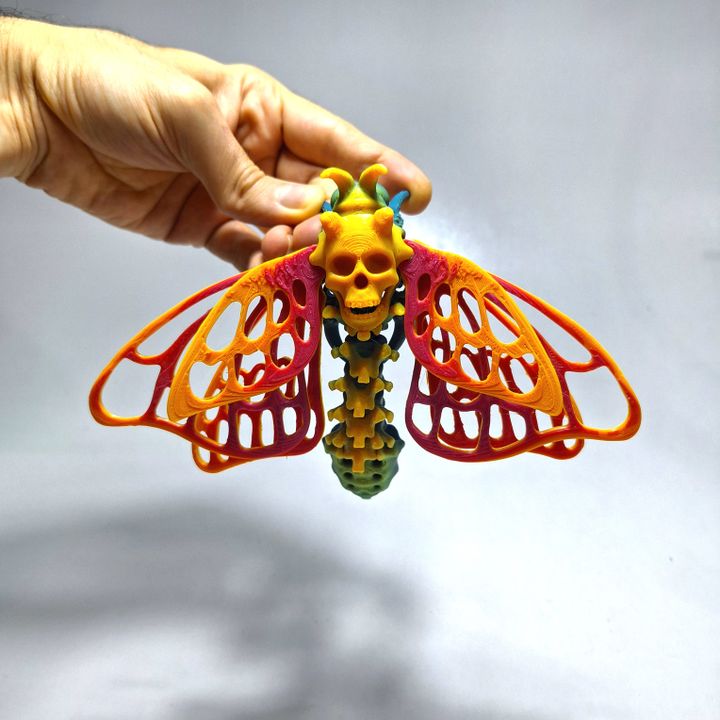 3D Printable The Demon Moth! (Skullwing moth) by Hansan.A